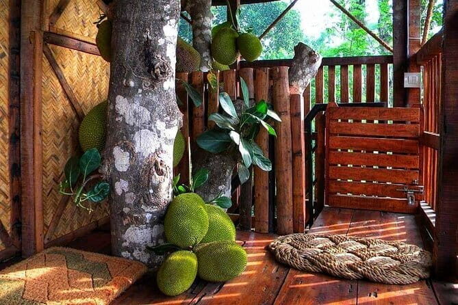 Wildlife Tour A Journey Through 3 Sanctuaries - Day 3: Return Journey and Final Night Relaxation