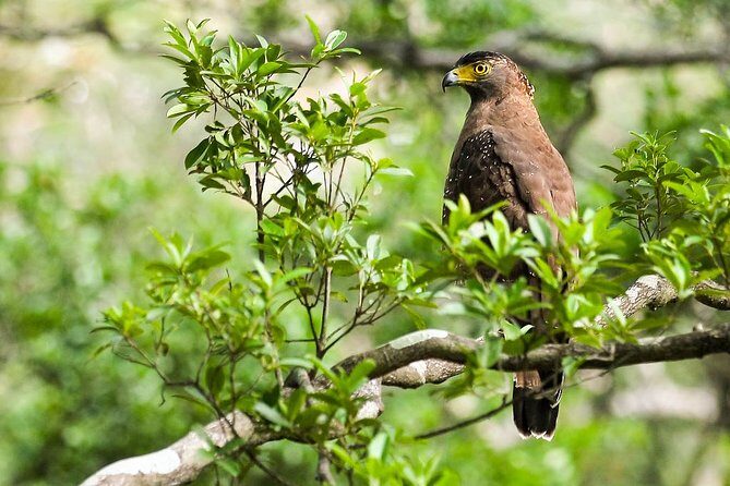 Wildlife Tour Covering Birds and Mammals (7 Days) - Who Will Enjoy This Tour?