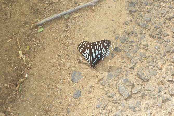 Wildlife trail in Chennai - Practical Details and Why They Matter
