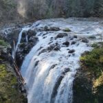 Wildlife, Waterfalls, Caves, Old Growth on Vancouver Island - In-Depth Breakdown of the Itinerary