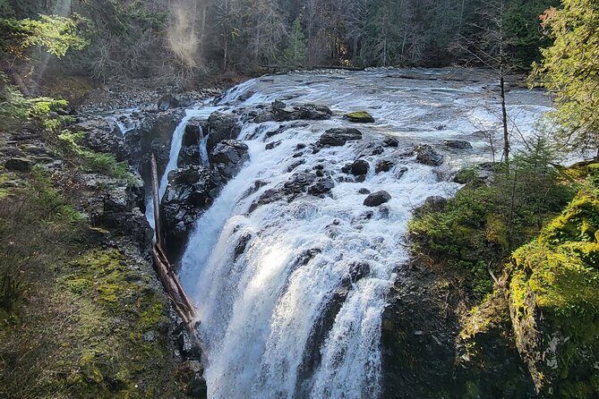 Wildlife, Waterfalls, Caves, Old Growth on Vancouver Island - In-Depth Breakdown of the Itinerary