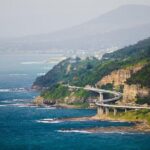 Wildlife, Wine & Waves  Epic South Coast Adventure from Sydney - The Practicalities and Value