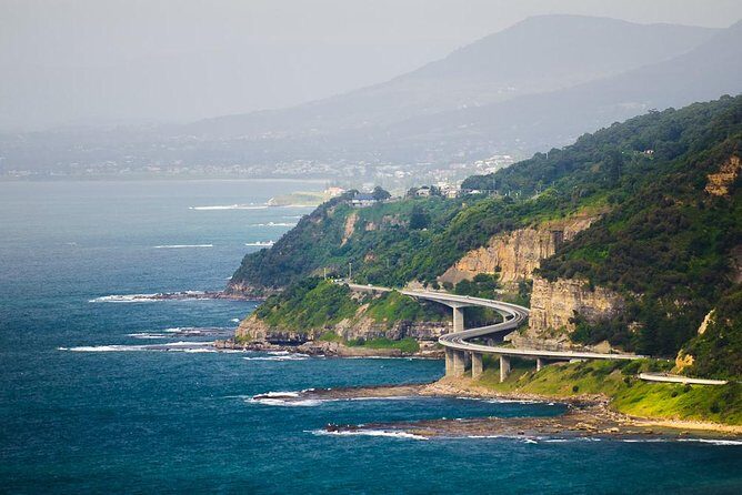 Wildlife, Wine & Waves  Epic South Coast Adventure from Sydney - The Practicalities and Value