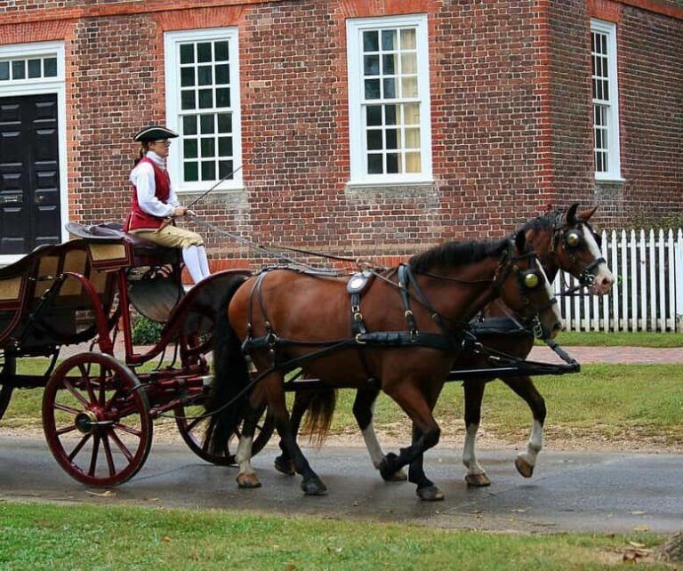 Williamsburg: Colonial Williamsburg Ticket - The Highlights That Make This Tour Stand Out