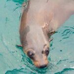 Wilsons Promontory Full Day Cruise - Why Reviewers Love It