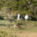 Wilsons Promontory Wilderness Day Tour - Norman Beach: A Classic Australian Beach