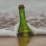 Wind Dancer Happy Hour Sail - Key Points