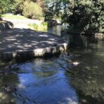 Wine and Gourmet Picnic Experience of Marlborough - Authentic Experiences and Traveler Insights