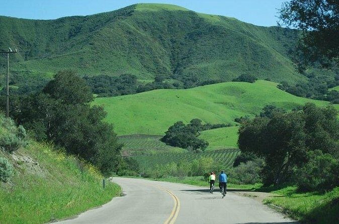 Wine Country Half-Day Bike Tour from Solvang - w/o Lunch - Exactly what to expect on this bike tour