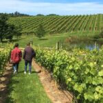 Wine Exposed Nelson Winery Tour - Who Will Appreciate This Tour?