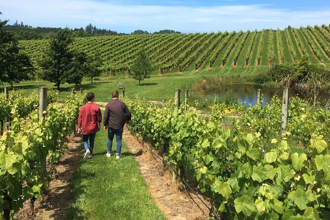 Wine Exposed Nelson Winery Tour - Who Will Appreciate This Tour?