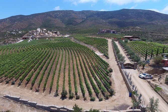 Wine Route including Tastings - What to Expect on the Baja California Wine Route