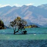 Wine Tasting Adventure Wanaka and Beyond - The Wine Experience: Quality, Variety, and Knowledge