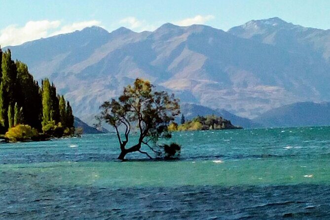 Wine Tasting Adventure Wanaka and Beyond - The Wine Experience: Quality, Variety, and Knowledge