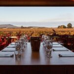 Wine Tasting Experience - Authentic Feedback from Visitors