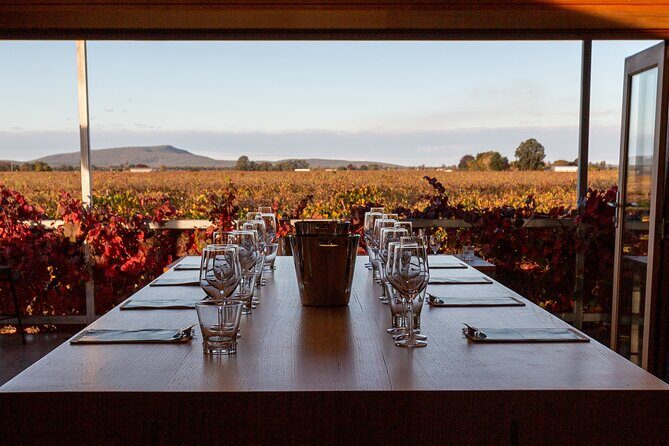 Wine Tasting Experience - Authentic Feedback from Visitors