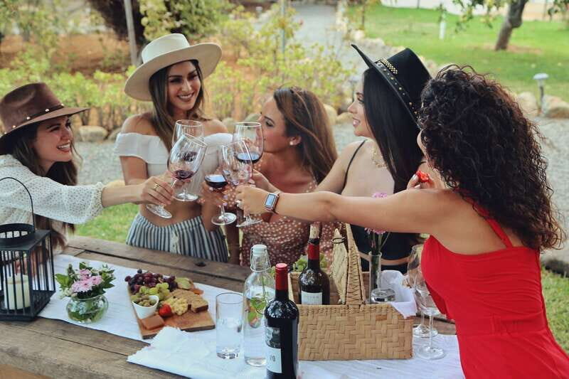 Wine Tasting in the Gardens at Rondo del Valle with vineyard - Why This Tour Is Worth Considering