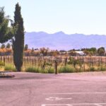 Wine Tasting Tour from Las Vegas with Snacks - Second Stop: Charleston Peak Winery