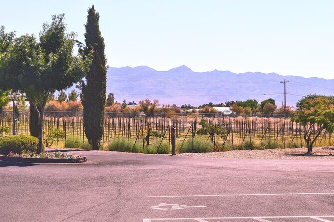 Wine Tasting Tour from Las Vegas with Snacks - Second Stop: Charleston Peak Winery