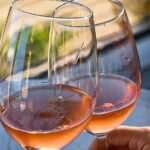 Wine tasting Valle de Guadalupe & Casa Frida - The Itinerary in Detail: What You Can Expect