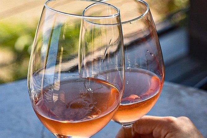 Wine tasting Valle de Guadalupe & Casa Frida - The Itinerary in Detail: What You Can Expect