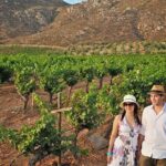 Wine tour valley of guadalupe - Who Will Love This Tour?