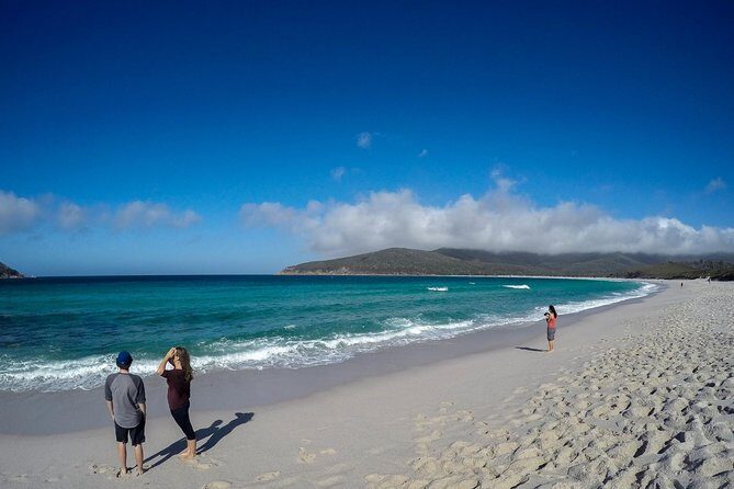 Wineglass Bay Beach Hike Active day tour - An In-Depth Look at the Wineglass Bay Hike Experience