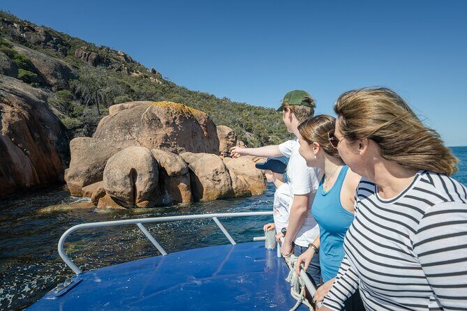 Wineglass Bay Shared Cruise and Walking Tour - Who Will Enjoy This Tour?