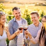 Wines and Views Private Wine Tour of Otago from Queenstown - The Itinerary in Detail