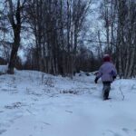 Winter Family Fun Day in Palmer Alaska - What Reviewers Might Say