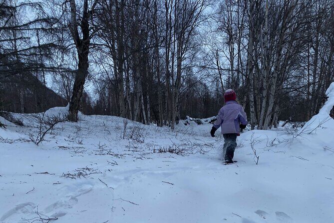 Winter Family Fun Day in Palmer Alaska - What Reviewers Might Say