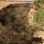 Winton: Bladensburg National Park Half Day Tour - Comparing Similar Experiences