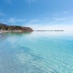 Wirrina Cove: Coastal Sightseeing Boat Tour with Seal Colony - The Itinerary and What Expect