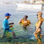 With Turtles, Shipwreck, Cenote, and Reef and Transport Included - Who Should Consider This Tour?