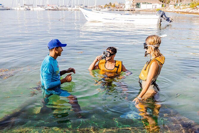 With Turtles, Shipwreck, Cenote, and Reef and Transport Included - Who Should Consider This Tour?