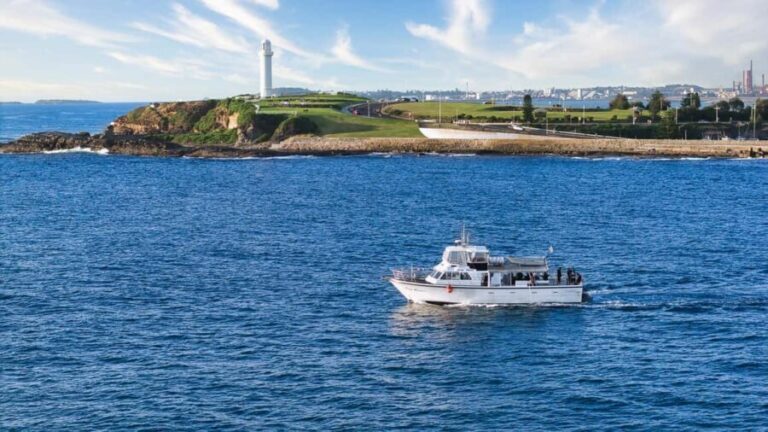Wollongong Deep Sea Fishing Charter with Breakfast - Weekday - The Practicalities & What It Means for You