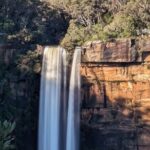 Wombat and Kangaroo Wildlife Tour from Sydney - An In-Depth Look at the Experience