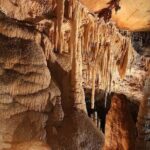 Wombeyan Caves: Kooringa Cave Guided Tour - Who Should Consider This Tour?