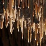 Wombeyan Caves: Mulwaree Cave tour - Authenticity and Group Experience