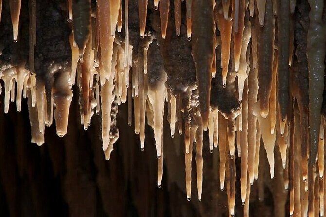 Wombeyan Caves: Mulwaree Cave tour - Authenticity and Group Experience