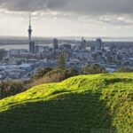 Wonders of Wellington: A Day of Icons, Views & Culture - Who Should Consider This Tour?