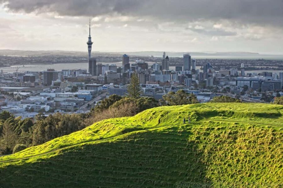 Wonders of Wellington: A Day of Icons, Views & Culture - Who Should Consider This Tour?