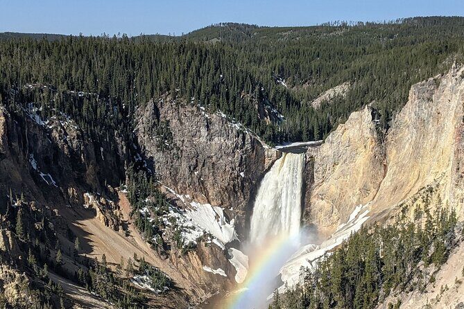 Wonders of Yellowstone Lower Loop Private Tour with Lunch - Breaking Down the Cost and Overall Value