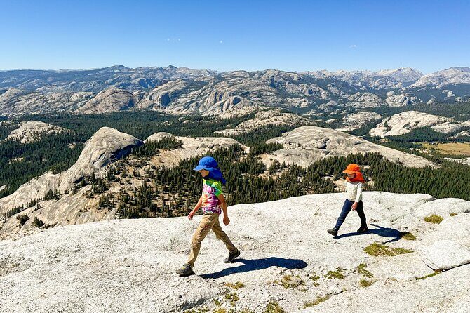 Wonders of Yosemite: Kid Friendly Private Tour - What to Expect from the Experience