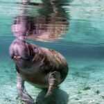Wondrous Wildlife @ River Wonders + Roundtrip Transfers - Final Thoughts: Is It Worth It?