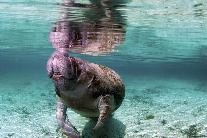 Wondrous Wildlife @ River Wonders + Roundtrip Transfers - Final Thoughts: Is It Worth It?