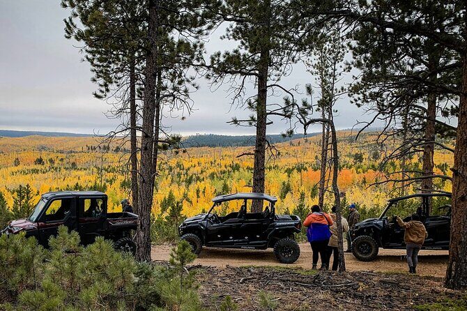 Woodland Park: 2 Hour Guided Wildlife Sunset UTV Tour - You Drive - Why This Tour Stands Out