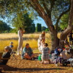 Woodside: Filoli Historic House and Garden Entry Ticket - Gardens That Change with the Seasons