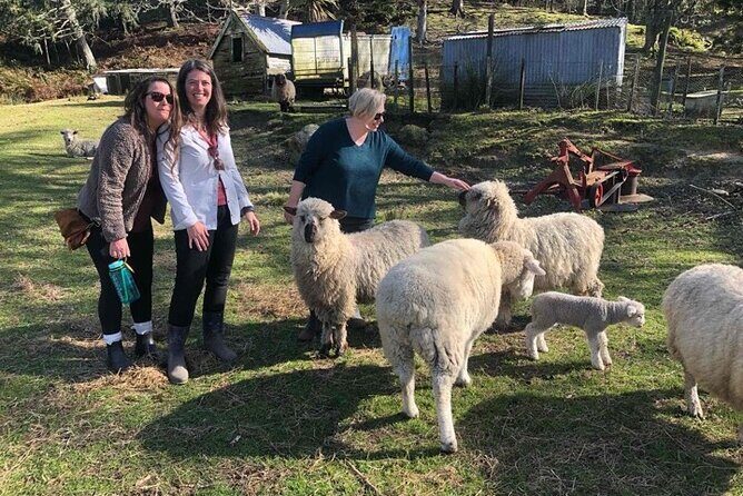 Wool Sheep Farm Experience with Handmade Wool Hat in New Zealand - Frequently Asked Questions