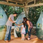 Wooroonooran National Park: Mamu Tropical Skywalk Admission - What We Love About the Experience